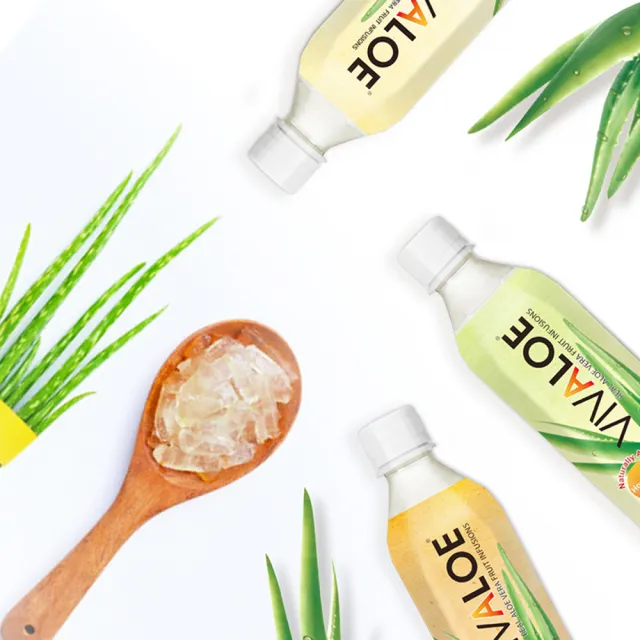 【VIVALOE】纖薈藍莓蘆薈果汁飲料500ML*6罐 - momo購物網 - 好評推薦 -2023年10月