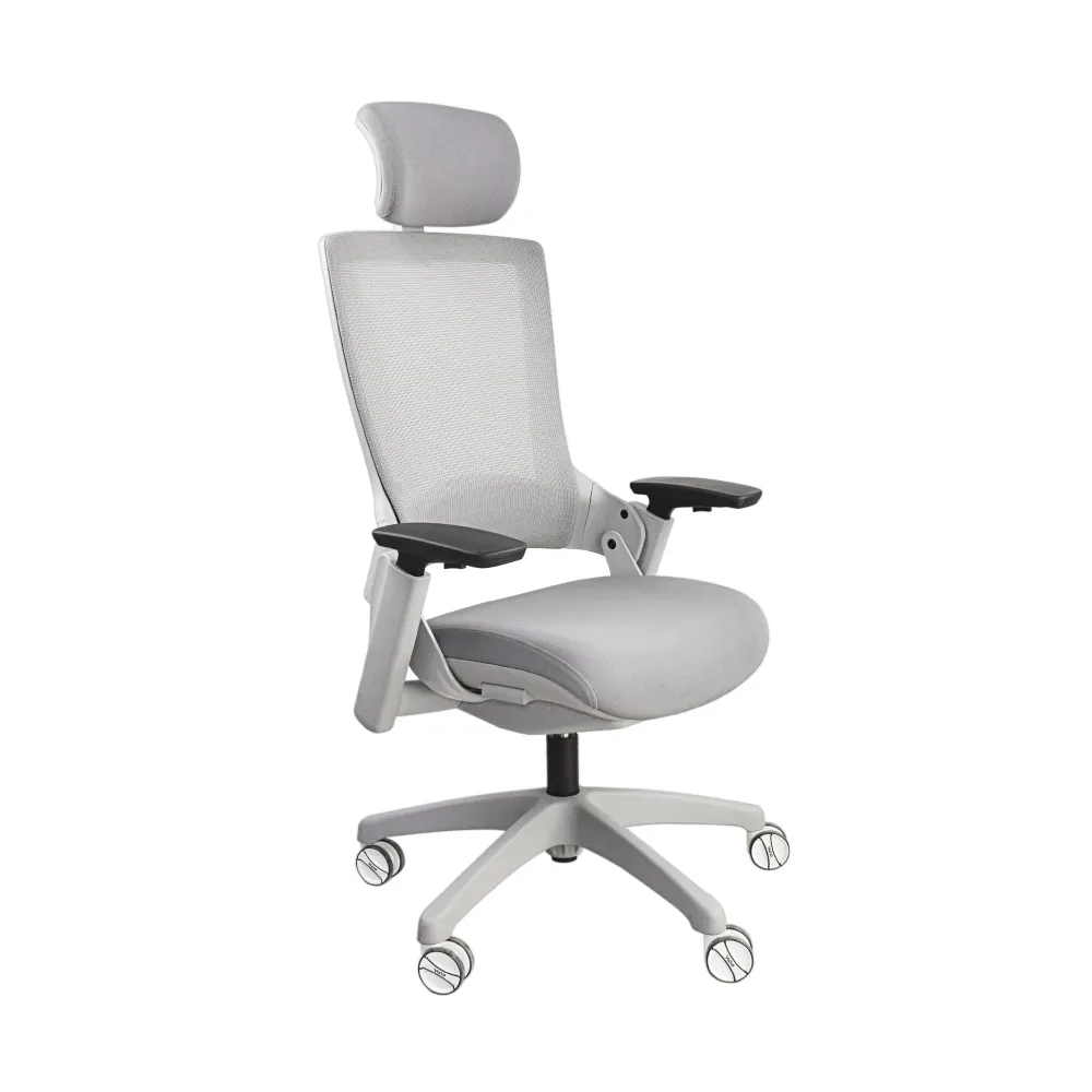 【Artso 亞梭】銀翼CL椅(人體工學椅/辦公椅/電腦椅/椅子) - momo購物網 - 好評推薦 -2024年4月